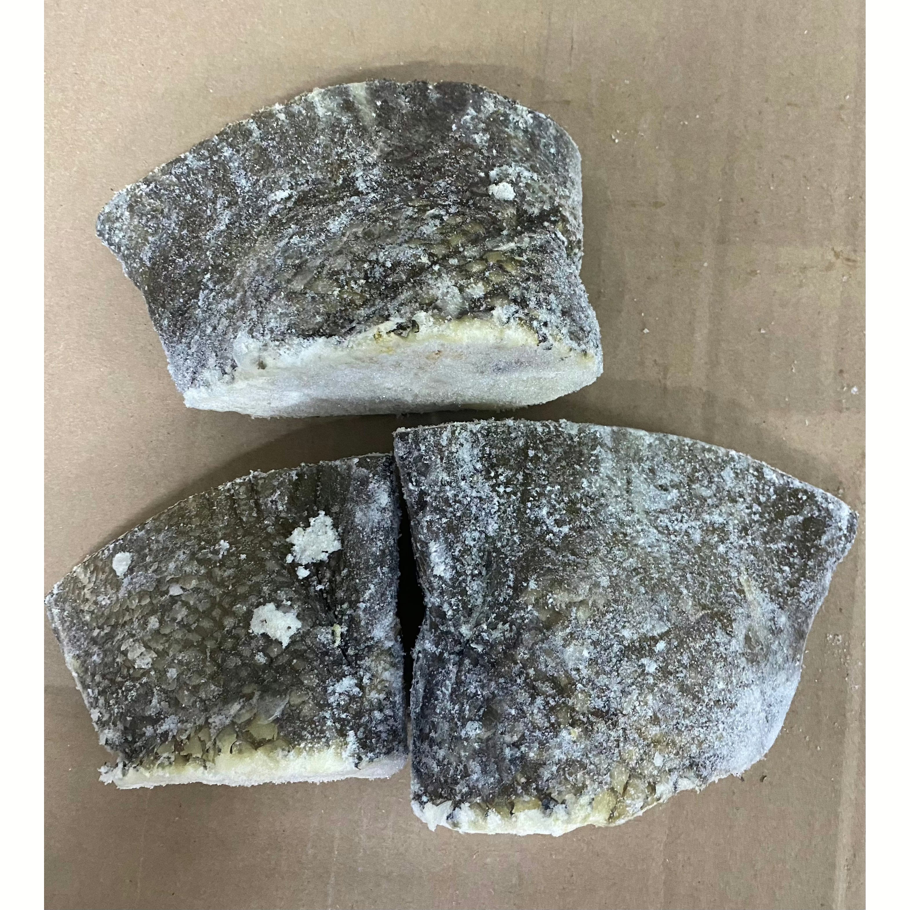 Osmanthus Fish Tail - [2.3-2.5 lbs per bag] – Ginkgo Market