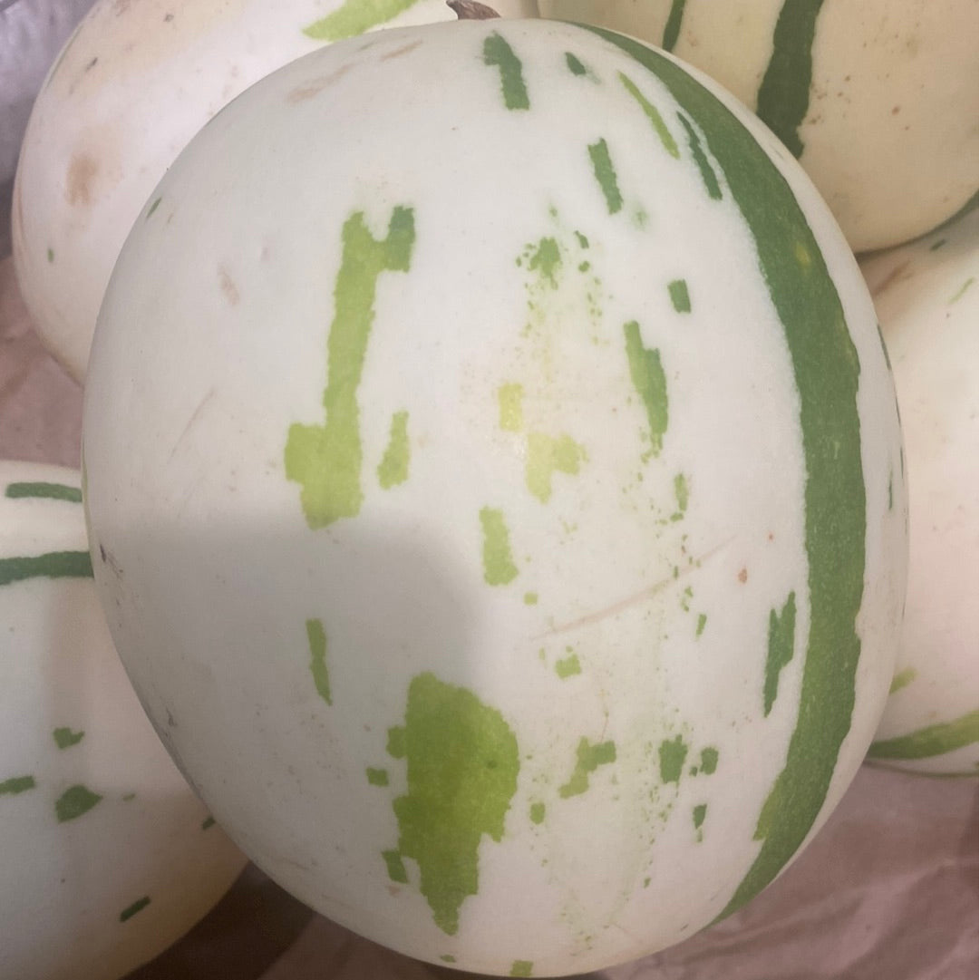 1-Meteor Melon [approximately 4 lbs] – Ginkgo Market