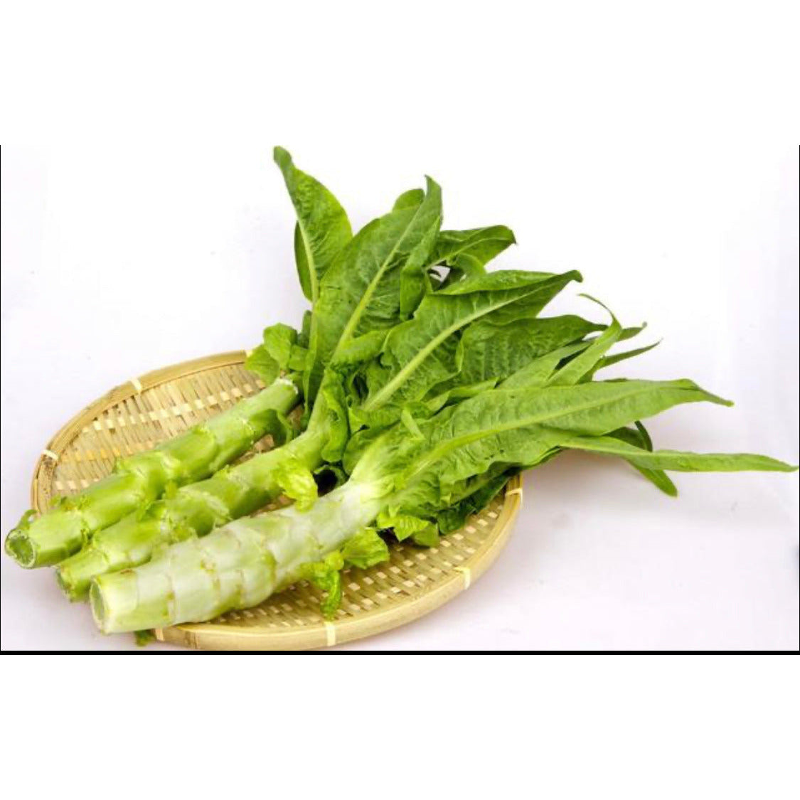 Asparagus Lettuce (AA Choy Sum) – Ginkgo Market